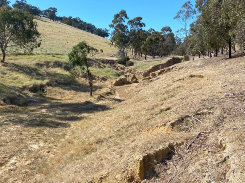 Waterwise Environmental