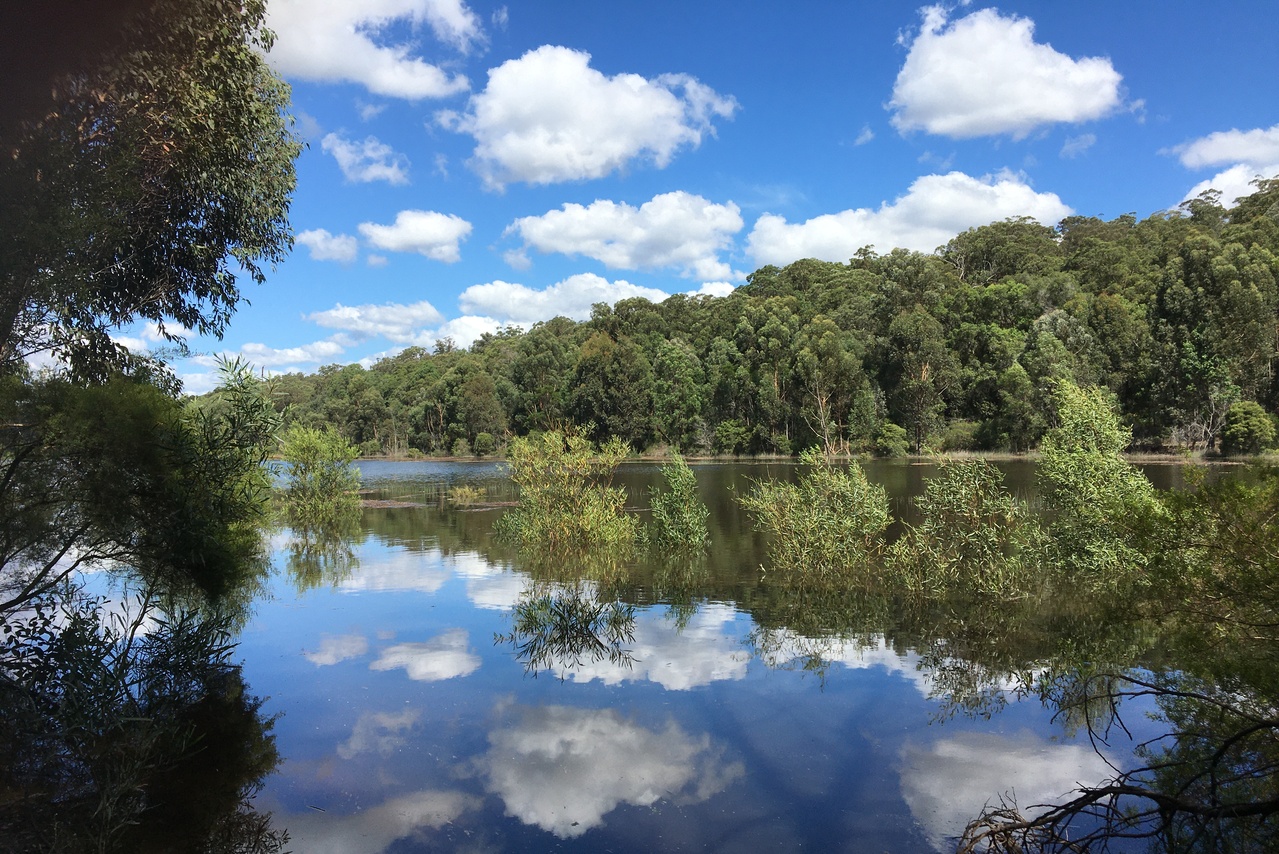 Waterwise Environmental